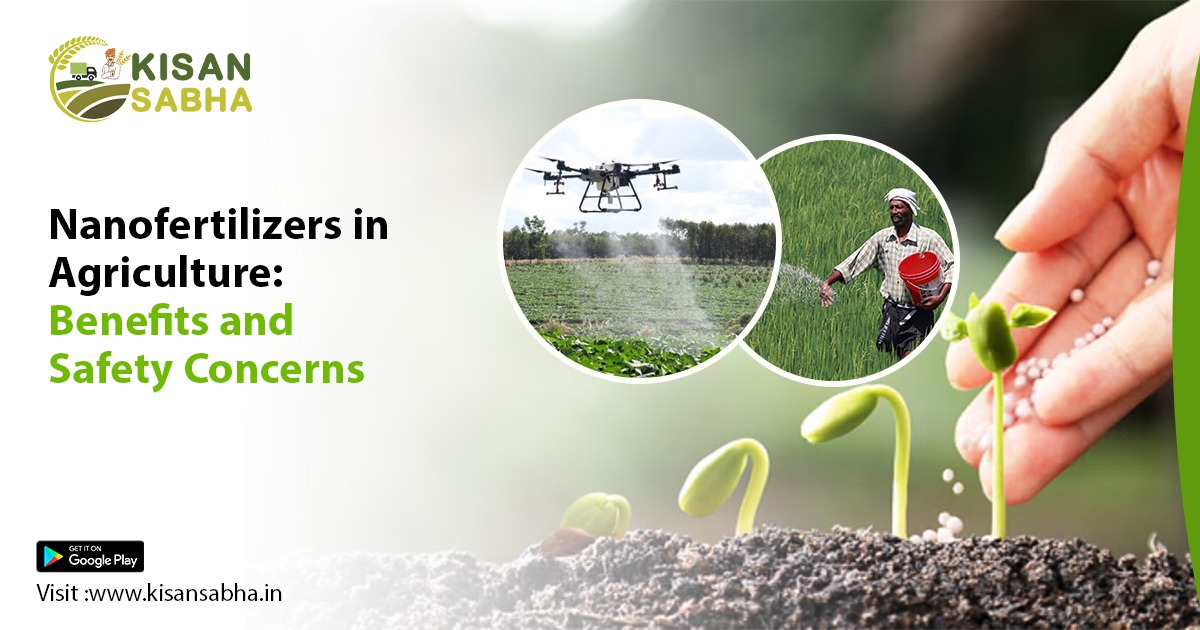 Nanofertilizers in Agriculture: Benefits and Safety Concerns ...