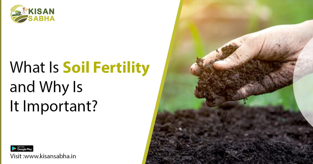 What Is Soil Fertility and Why Is It Important? - KisanSabha Blog