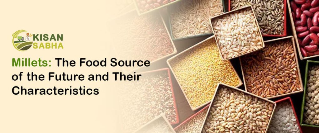 Millets: The Food Source of the Future and Their Characteristics