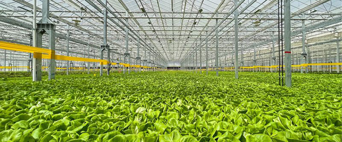A Simple Guide to Farm Cleanliness and Hygiene