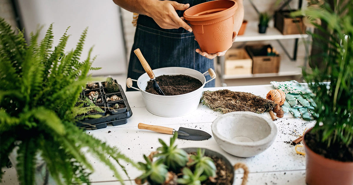Smart Ways to Reuse and Refresh Your Old Soil