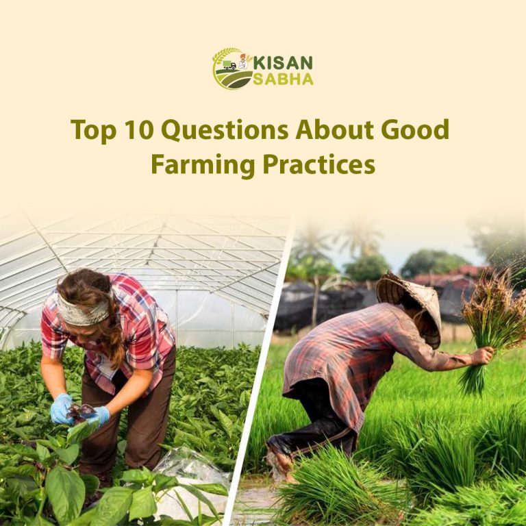 Top 10 Questions About Good Farming Practices – KisanSabha Blog