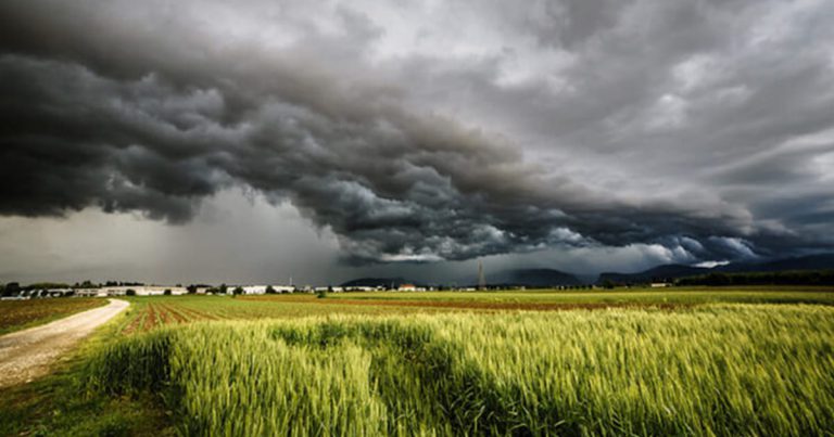 The Importance of Weather Forecasting in Agriculture