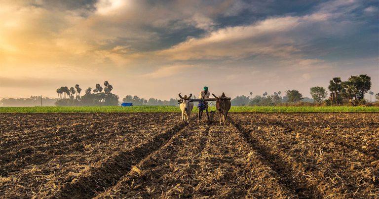 How to Rent Farmland in 8 Easy Steps