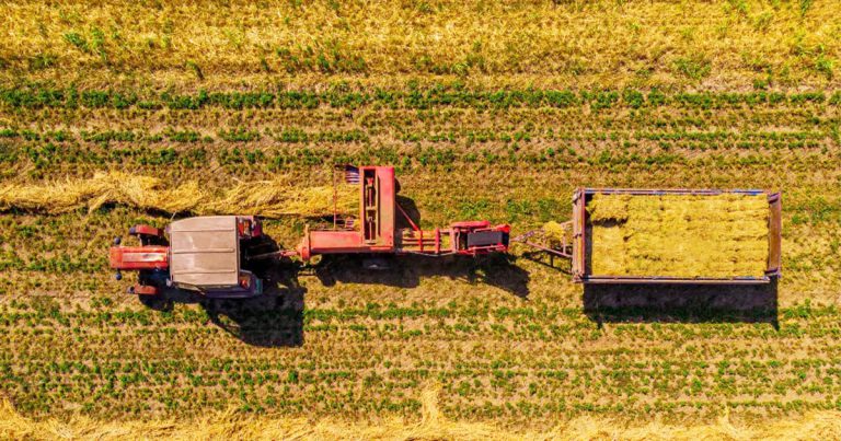 Exploring the Benefits of Agri Logistics Startups – KisanSabha Blog